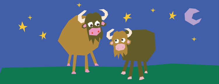 High Low Buffalo – High Low Buffalo Cards!